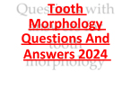 Tooth Morphology Questions And Answers 2024 - DocMerit