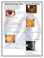Ophtha Quiz_Types of Uveitis. - DocMerit