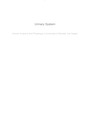 Module 07 Lab Worksheet Urinary System - DocMerit