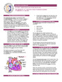 Anatomy and Physiology: Cardiovascular System - DocMerit