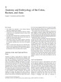 Anatomy and Embryology of the Colon, Rectum, and Anus - DocMerit