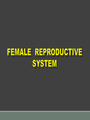 ANATOMY AND PHYSIOLOGY Female Reproductive System Study Guide - DocMerit