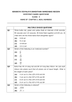Mathematics - CBSE - NCERT - Class 10 - Competency Based Questions and ...