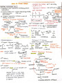 MCB 102 - Unit 2 Exam Cheat Sheet - DocMerit