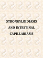 Nematodes - Strongyloidiasis and Intestinal Capillariasis - DocMerit