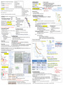 Exam Cheat sheet - DocMerit