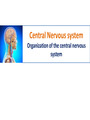 CNS ORGANIZATION, STRUCTURE AND FUNCTION - DocMerit