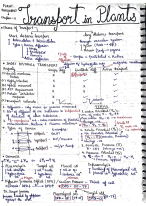 TRANSPORT IN PLANTS-Complete chapter handwritten topper notes. - DocMerit