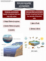 Learning Notes on Aquatic Ecosystem - DocMerit