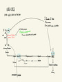 urea cycle - DocMerit