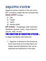 Digestive system introduction - DocMerit