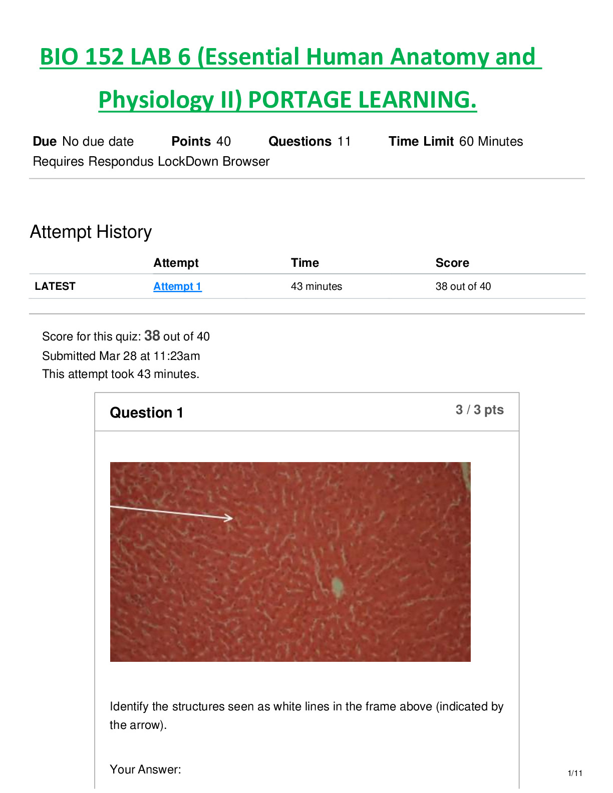 BIO 152 LAB (1-8) (ESSENTIAL HUMAN ANATOMY and PHYSIOLOGY II) PORTAGE LEARNING COMPLETE SETS ...