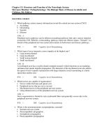Chapter 15: Structure and Function of the Neurologic System - DocMerit