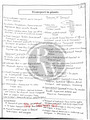 Transport in Plants Neet Handwritten Notes.pdf - DocMerit