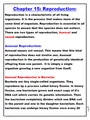 Biology summarised notes Chapter 15 Reproduction Asexual Reproduction ...